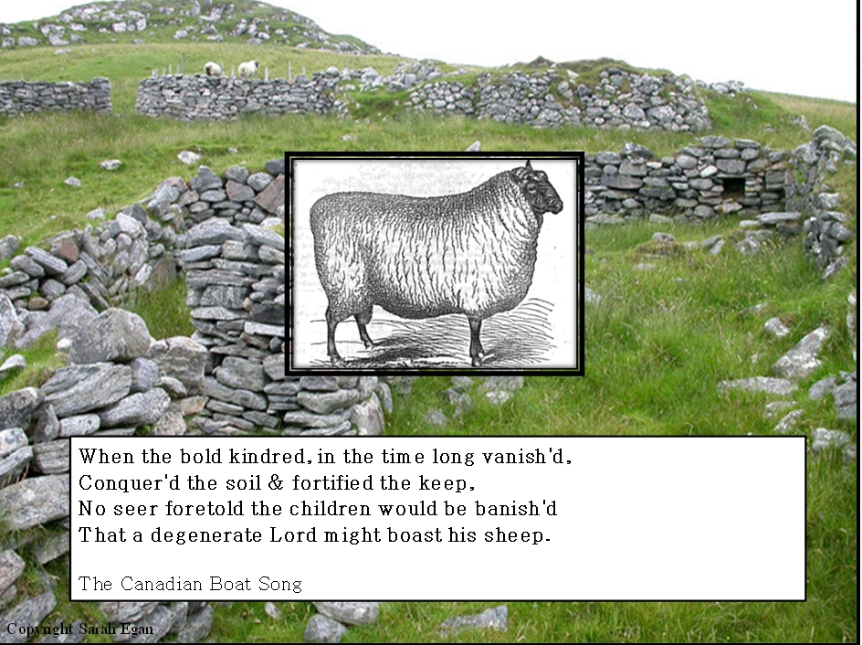 King Sheep – Leslieville Historical Society